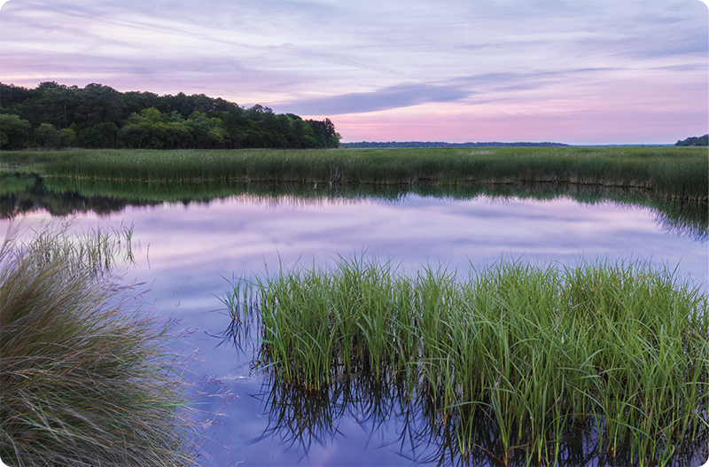 Charles Allen Surber – Cannon-Byrd Funeral Homes & Memorial Park