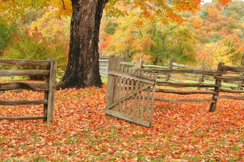 Lucy Terry Babb – Cannon-Byrd Funeral Homes & Memorial Park